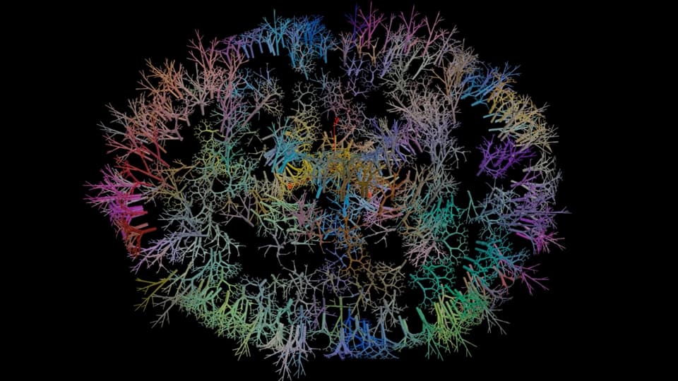 Houdini Procedural Foundations | Adam Swaab | Learn Squared