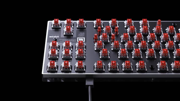 Courses | Learn Squared