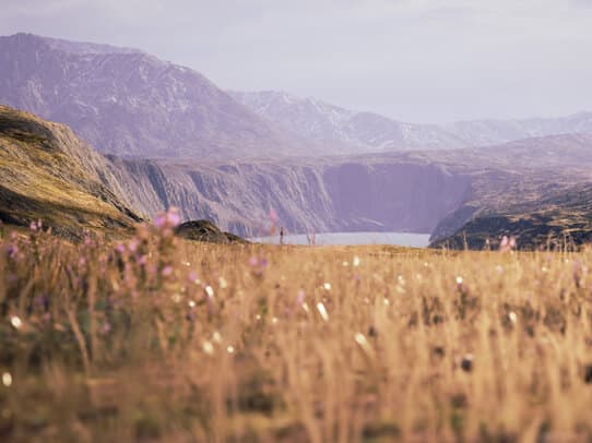 Unreal Environments | Joe Garth | Learn Squared